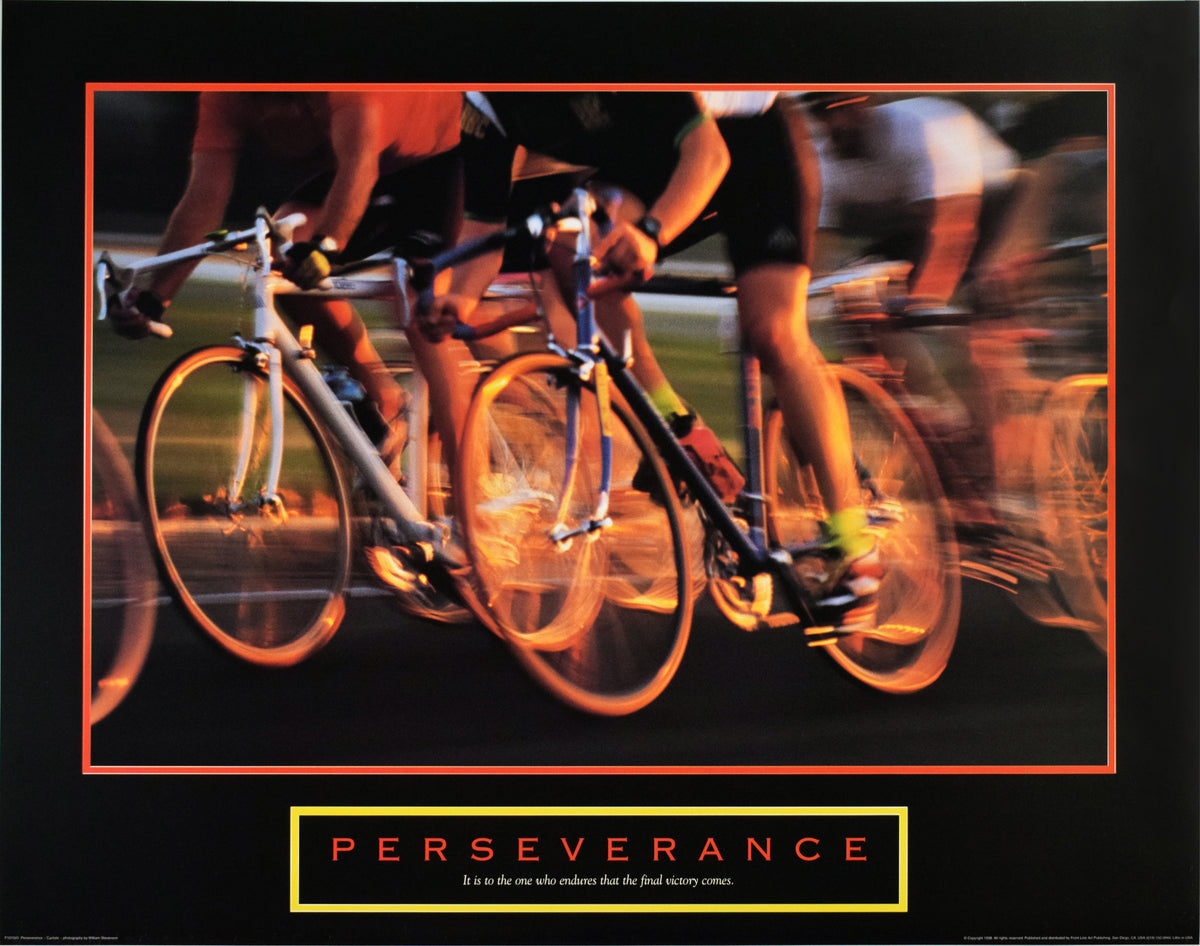 Perseverance – The Art of Custom Framing