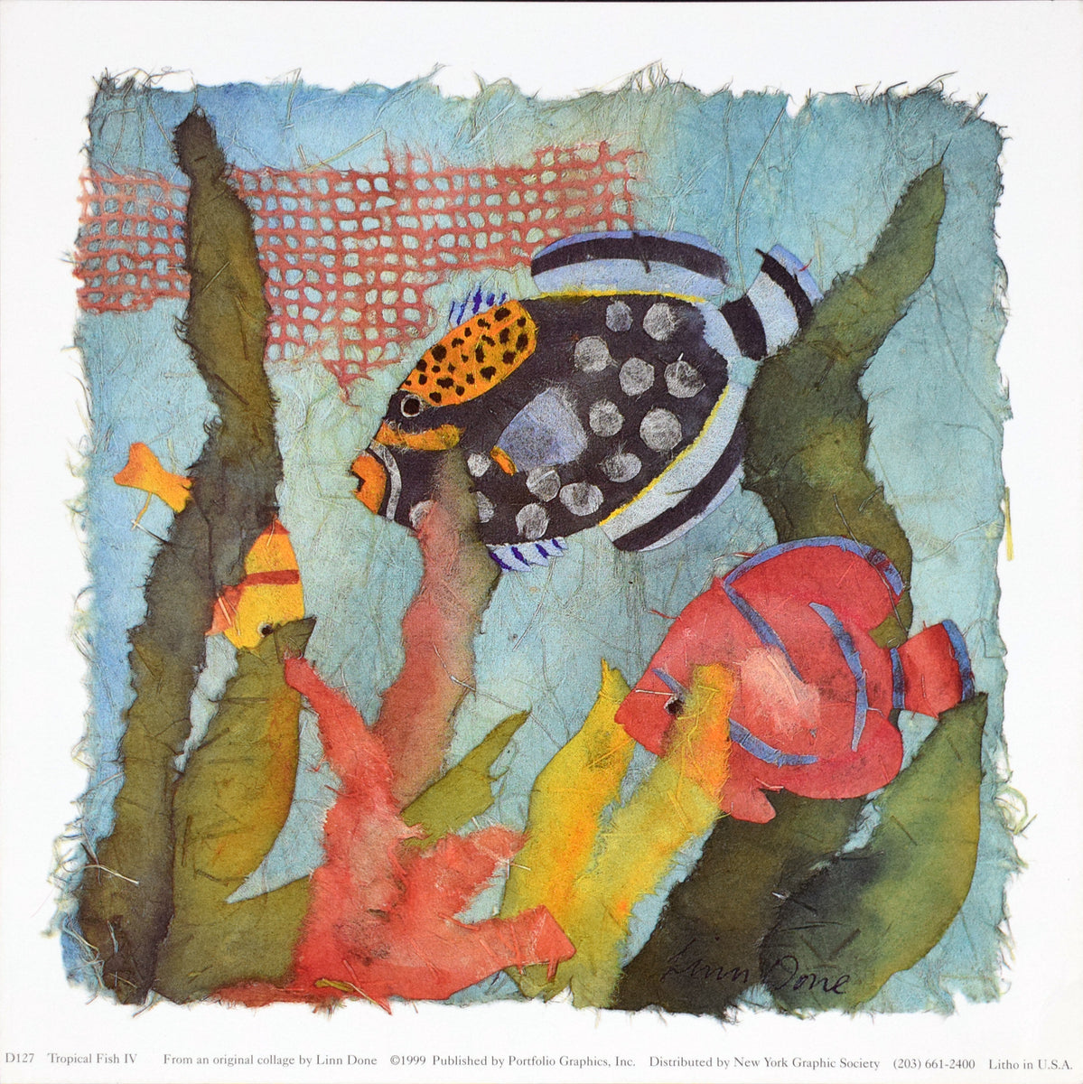 Tropical Fish IV by Linn Done – The Art of Custom Framing